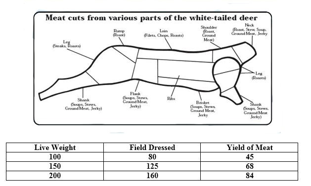 Services - Walsh Meat Packing